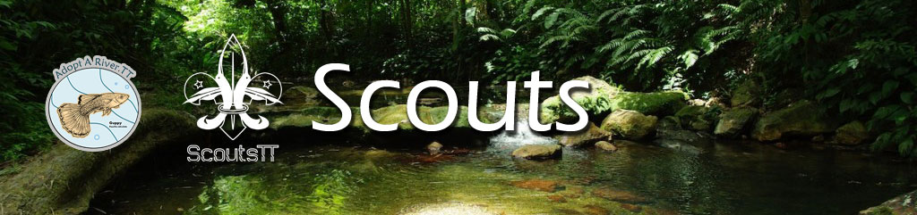 Scout Survey - WASA – Adopt a River