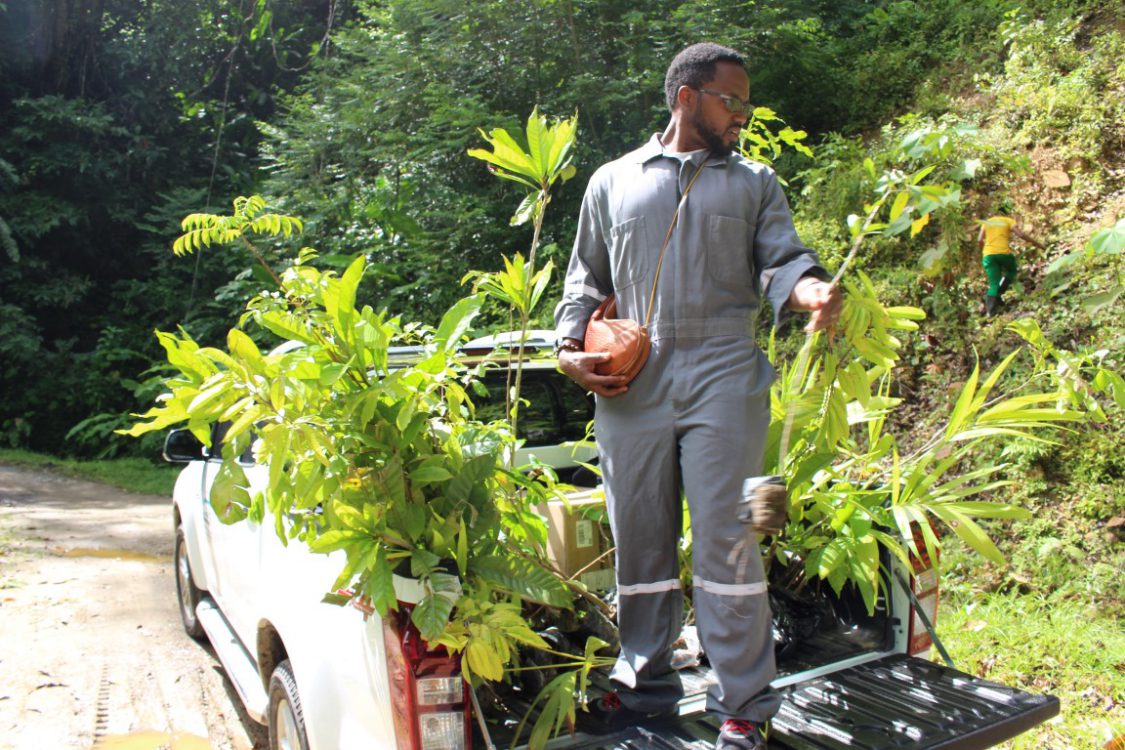 Tree Planting – Adopt A River