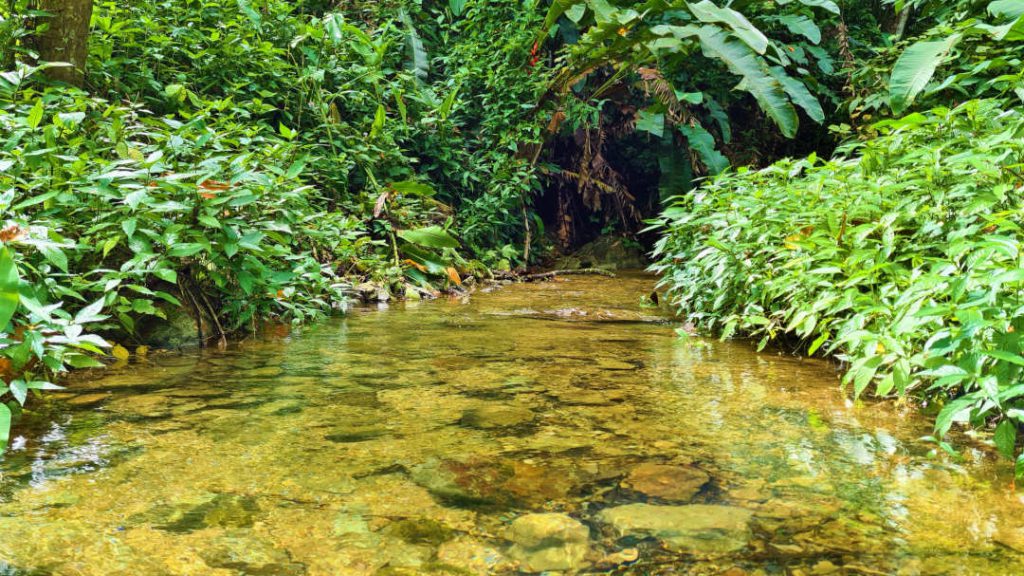 Introduction – Adopt A River